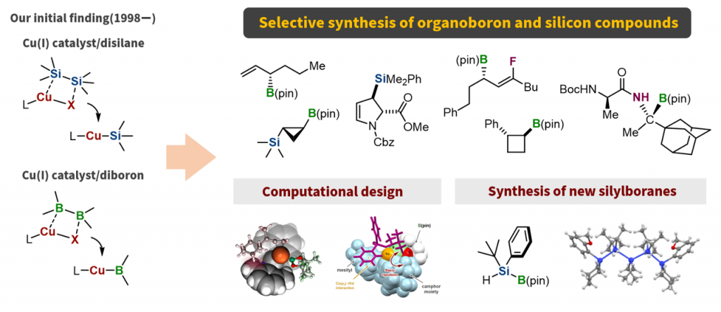 Development of selective synthesis of organoboron and organosilicon ...
